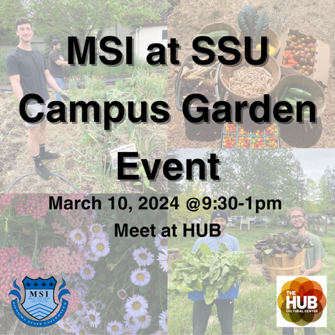 Male Success Initiative (MSI) at SSU Campus Garden | The HUB Center at ...
